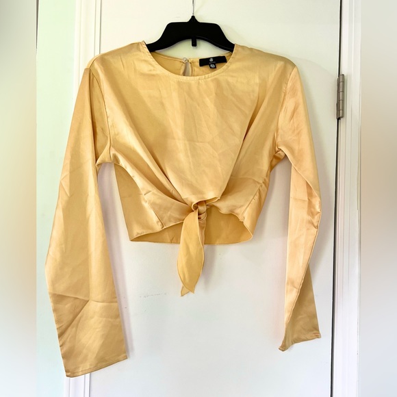 Missguided | Tops | Missguided Petite Satin Long Sleeve Crop Top | Poshmark